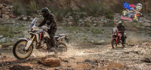 Australia's most popular motorcycle models by segment | MCNews