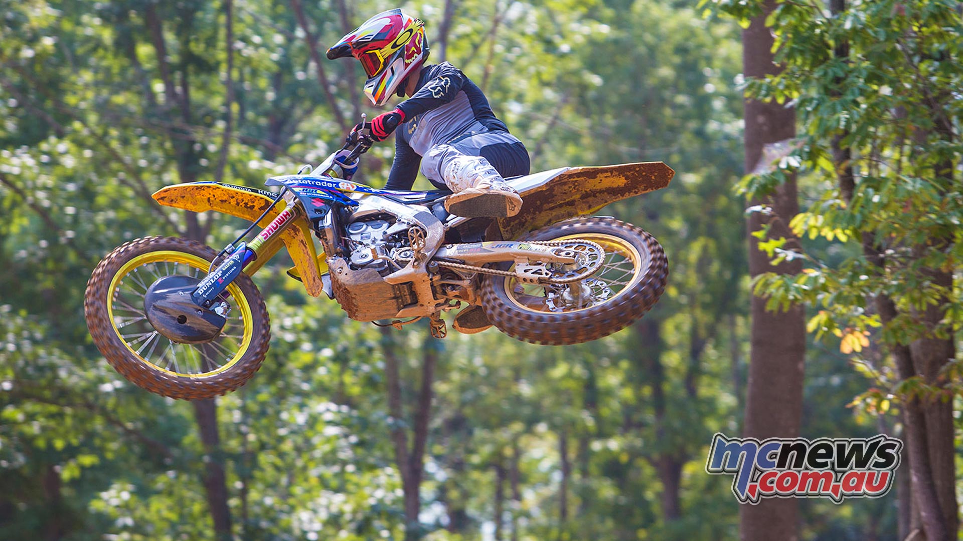 Chad Reed to race a Suzuki at the Ironman AMA MX Finale | MCNews