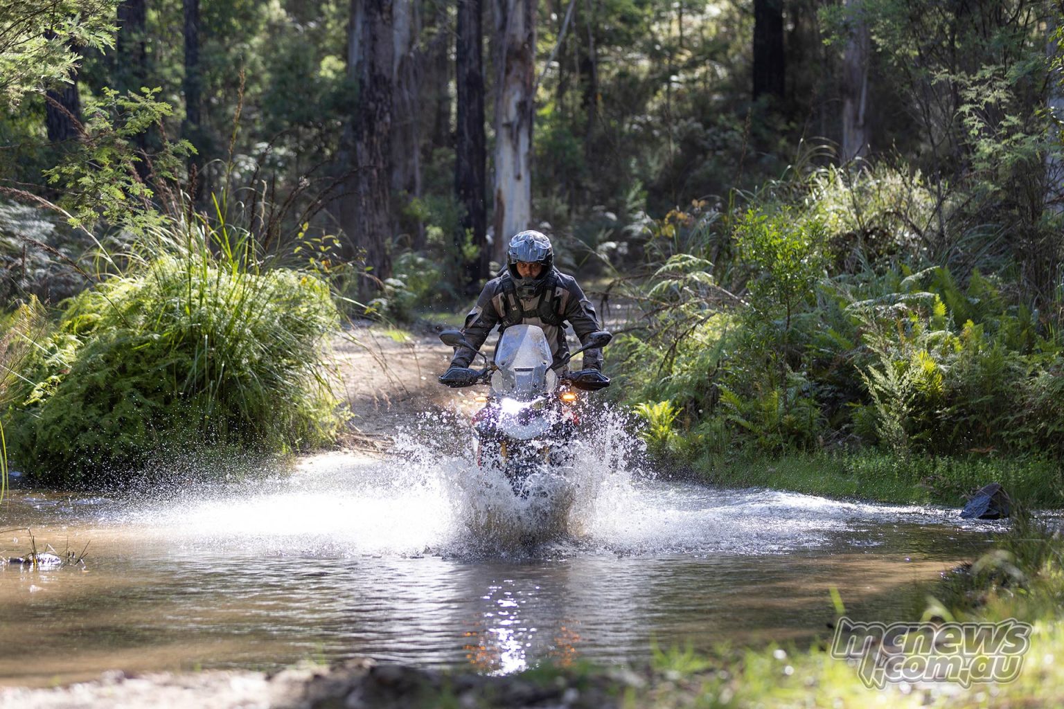 Triumph Tiger 900 Rally Pro Review | Motorcycle Test | MCNews